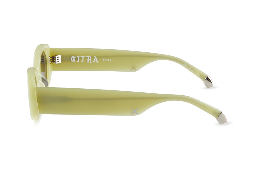CITRA/ FOREST - Gray Lens – Oscar & Frank Eyewear